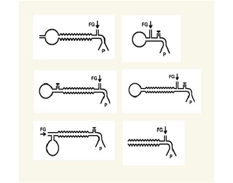 Mapleson Circuits By Letter Quiz