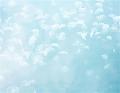 [500 ] Light Blue Backgrounds