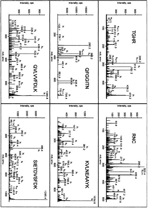 MS MS Data Obtained By Electrospray Tandem Mass Spectrometry Under Download Scientific Diagram