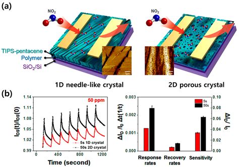 Enhancing Sensitivity In Gas Detection Porous Structures In Organic