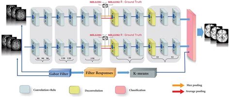 the proposed fully cnn model on multi instance loss and gabor filter bank download scientific