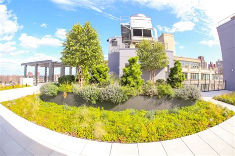 Rooftop Design School