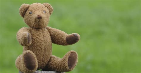 Burglar Nabbed After Having Sex With Teddy Bear And Leaving Dna