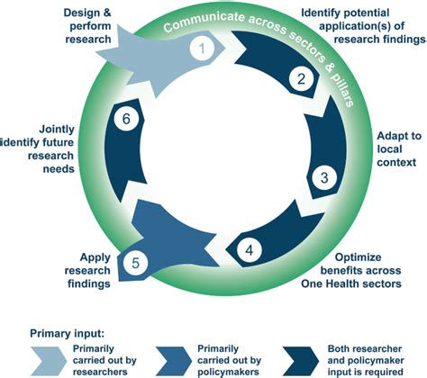 Research Translation Cycle Describing The Steps Involved In The
