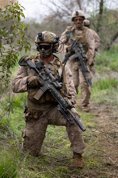 Dvids Images 1st Bn 5th Marines Conduct Company Attacks During