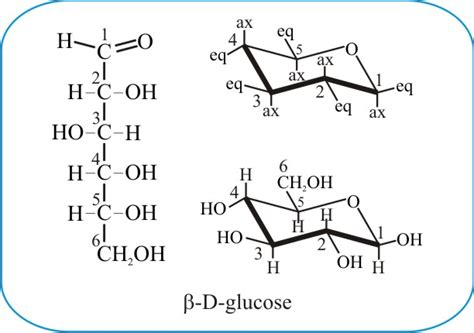 Beta Glucose Chair Conformation