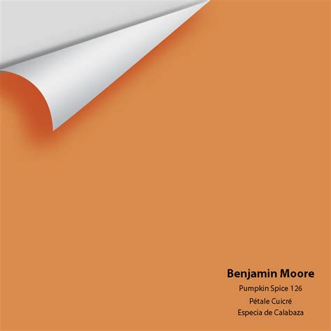 The Color House Benjamin Moore Peel And Stick Paint Samples