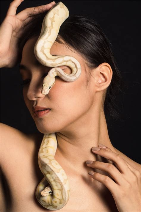 Python Container Types A Quick Guide Be On The Right Side Of Change