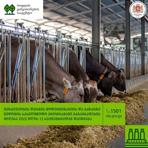 🥛 სოფლის განვითარების სააგენტო Rural Development Agency