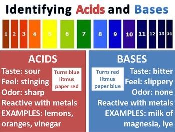 Common Acids And Bases You Should Know