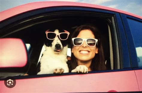 Nonsensical Synonyms Synonyms And Antonyms Wiki Fandom