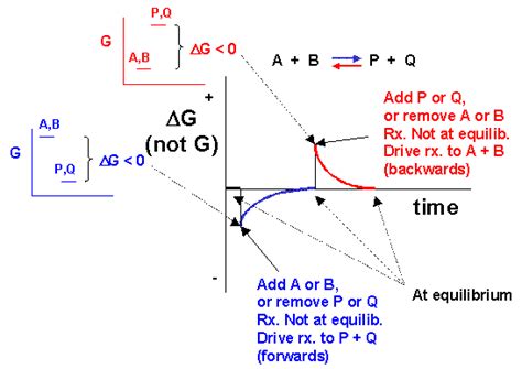Reversible Reaction Graph