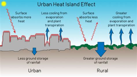 Urban Heat Island What It Is And Why It Matters To Construction Dozr