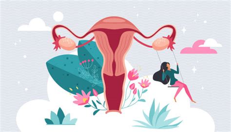 57200개 이상의 여성 생식기관 스톡 사진 그림 및 Royalty Free 이미지 Istock