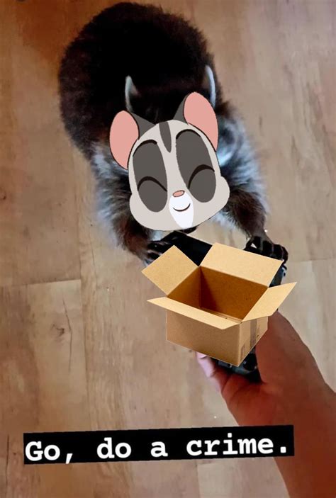 The Testimony Of Trixie Glimmer Smith By Digital Poppy Bun And Birb