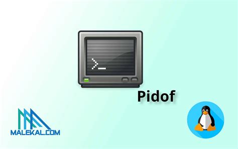 Commande Pidof Sous Linux Obtenir Le Pid Dun Processus