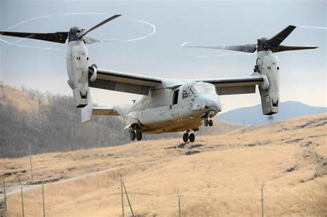 離島防衛の日米共同訓練、国内で初実施 大分で公開、中国をけん制 写真特集118 毎日新聞
