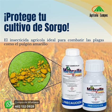 Agrícola 🌱 ¡𝐏𝐫𝐨𝐭𝐞𝐠𝐞 𝐭𝐮𝐬 𝐜𝐮𝐥𝐭𝐢𝐯𝐨𝐬 𝐜𝐨𝐧 𝐃𝐢𝐬𝐡𝐚 🌿 Aprovecha Esta