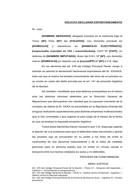 Solicita Declarar Espontaneamente Pdf