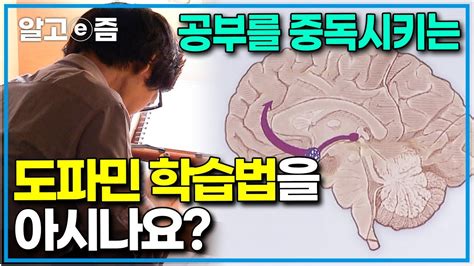 공부를 좋아하게 만드는 방법” 우리 아이 공부 두뇌로 만드는 공부 호르몬 공부를 중독시키는 도파민 학습법 │부모│알고e즘 Youtube