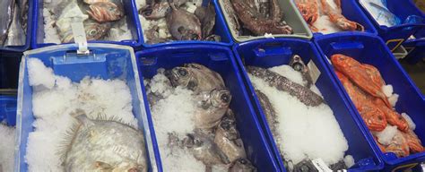 Melbourne Seafood Centre Melbournes Wholesale Fish Market