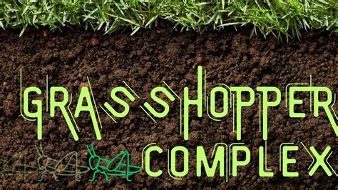 The Grasshopper Complex Youtube