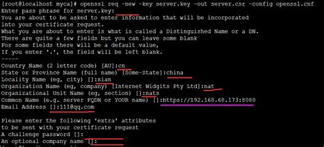 nginx 配置双向ssl 证书 双向认证支持透传客户端证书到服务器 csdn博客