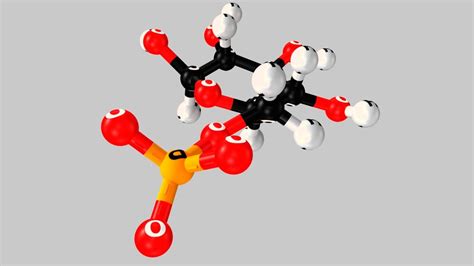 베타 D 포도당 6 인산염 3d 모델 29 Ma Obj Free3d