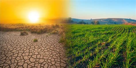 What Is Climate Smart Agriculture Csa Agribusiness Education And Research International