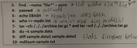 Solved Question Explain The Following Commandslinux In