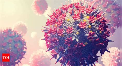 Lancet 5 Bacteria Types Claimed 68 Lakh Lives In India In 2019