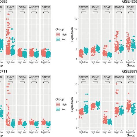 Box Plot Visualization Of Gene Expression Levels Of 9‐gene Signature In
