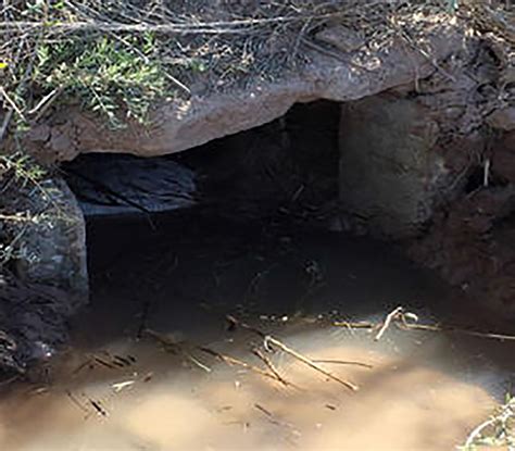 Los Sofisticados Y Extravagantes Métodos De Los Cárteles Mexicanos Para Traficar Droga Por Mar