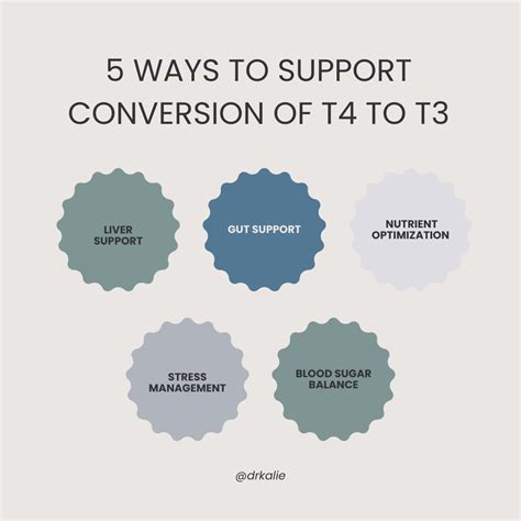 How To Convert T4 To T3 Lori Kalie Dc Cfmp Posted On The Topic