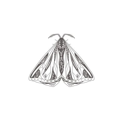 Amandas Gallery Amanda Olinger