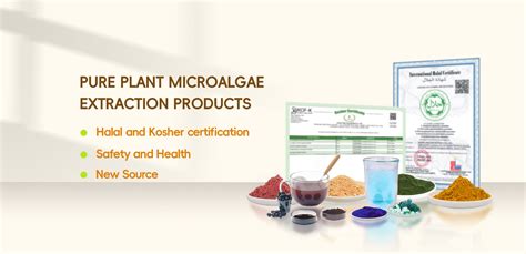 Dha Omega3 Dha Softgel Astaxanthin Microalgae Protein Chlorella Powder