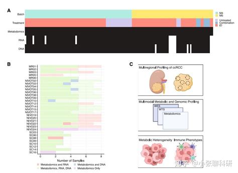 肿瘤代谢组学分析不会做？带你深度细节解析29分文章思路 知乎