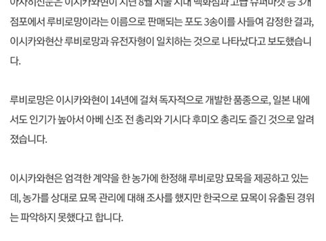 1200630webp1748353039