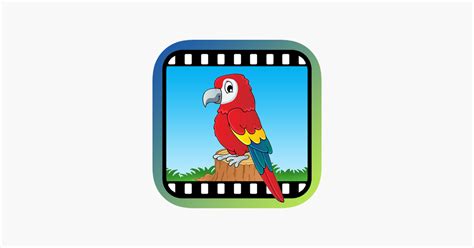 ‎video Touch Wild Birds On The App Store
