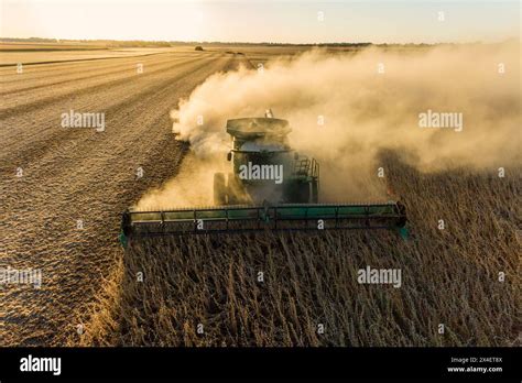 Aerial Of Combine Harvesting Soybeans At Sunset Marion County Illinois Editorial Use Only