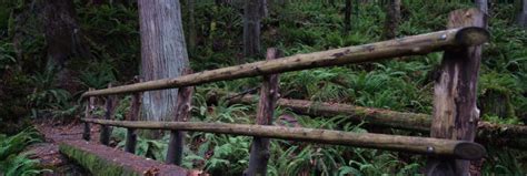 How Do We Know Whats Right And Wrong Deontology Vs Consequentialism Theology For The Rest Of Us