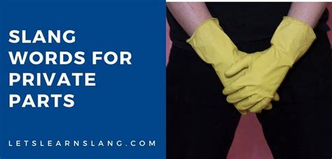 Slang Words For Private Parts And How To Use Them