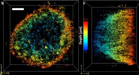 super resolved 2d and 3d fluorescence imaging