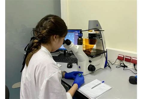 Cell Culture Microscope 400x At ₹ 600000 In New Delhi Id 2854249945112