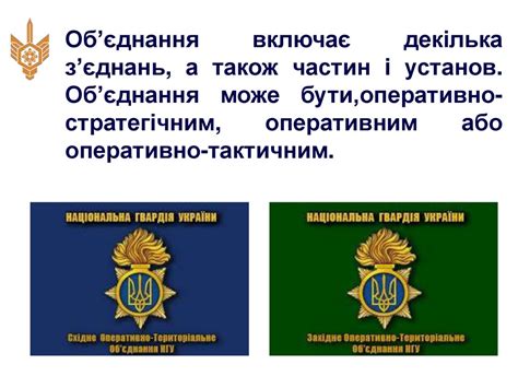 Обовязки командира взводу щодо організації повсякденної діяльності