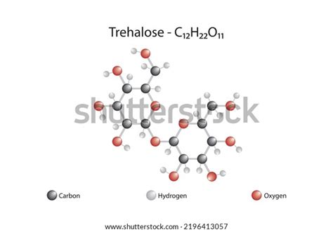 Molecular Formula Chemical Structure Trehalose Stock Vector Royalty