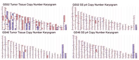 Figs4 Comparative Snp Karyogram Analysis Reveals Loss Of Copy Number Download Scientific
