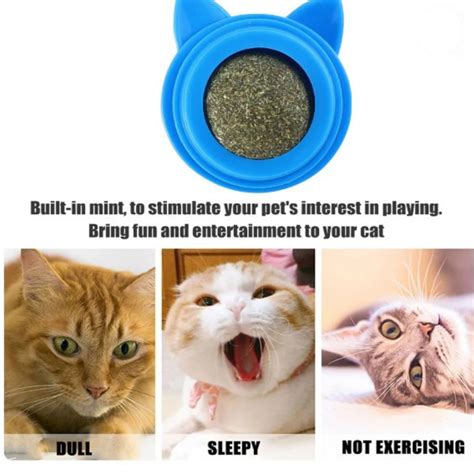 toothy catnip spinning ball oandm strategic consulting latin america