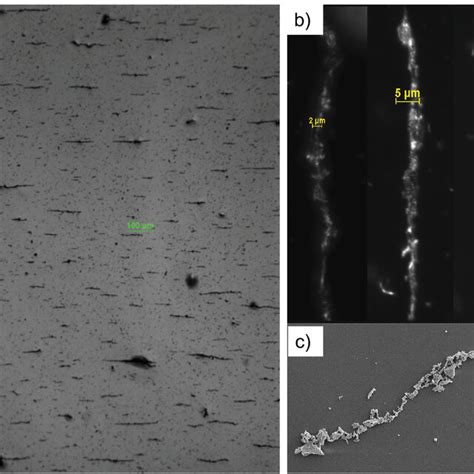 A A Portion Of The Full Substrate Surface Containing Aligned And Download Scientific Diagram